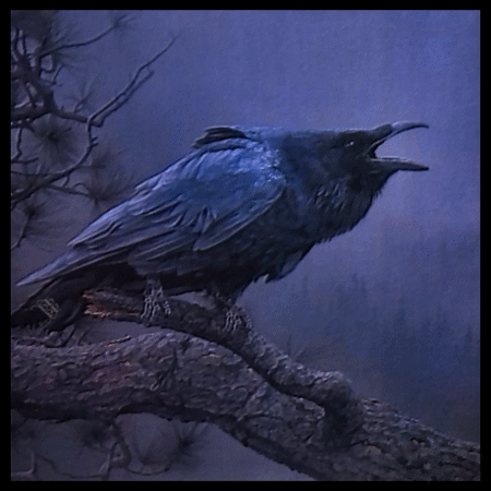 Recapitulation – Vision of the Nagual